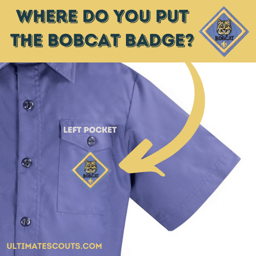 Ultimate Guide To Tiger Cub Scout Awards Checklist (2025) – Ultimate Scouts