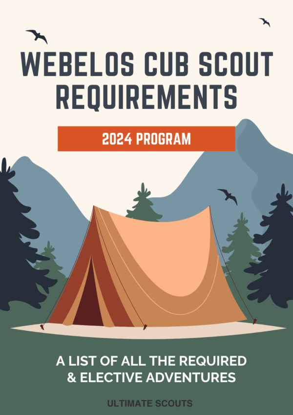 What Are The Webelos Requirements? (2025) – Ultimate Scouts